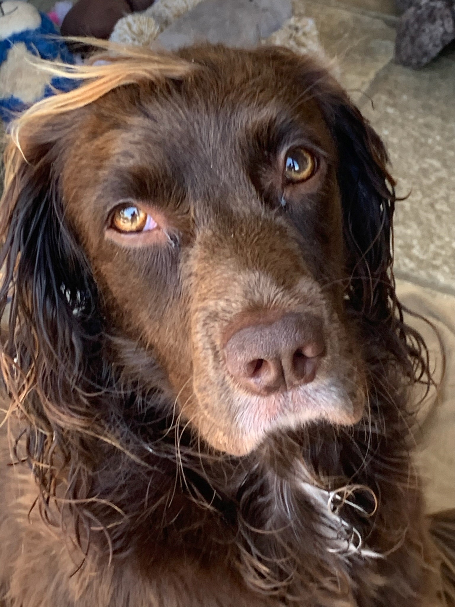 Crates Local Meet the Team - Crates Local