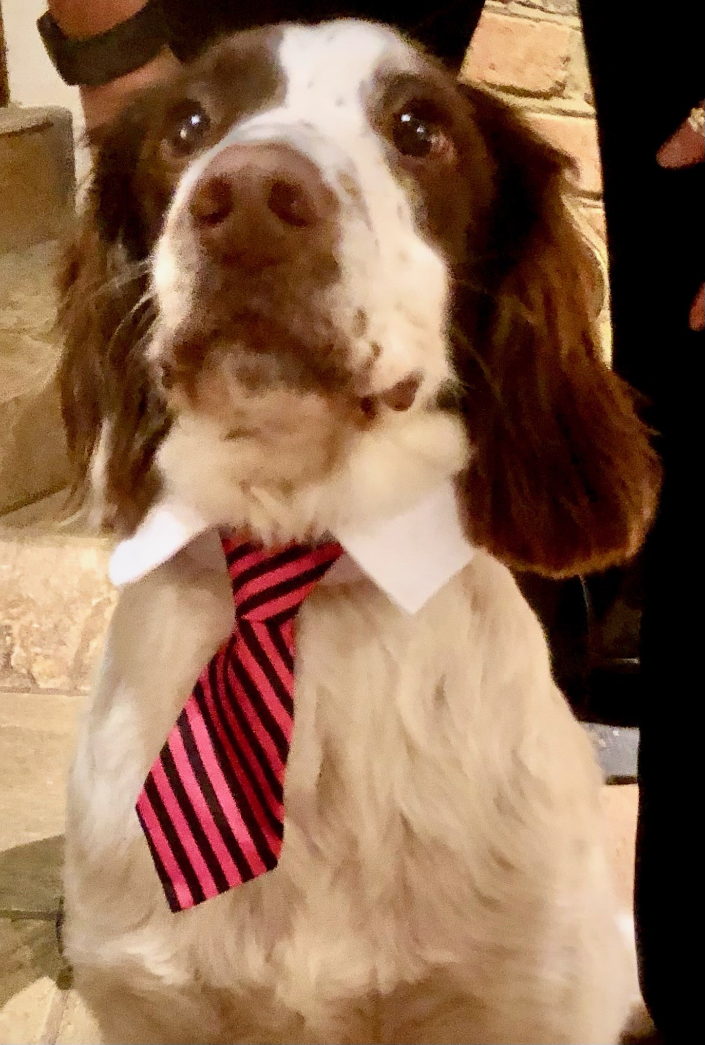 Crates Local Meet the Team - Crates Local